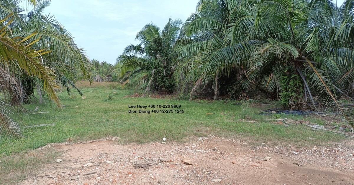 Klang Banting Jalan Kampung Sri Cheeding | Industrial Malaysia