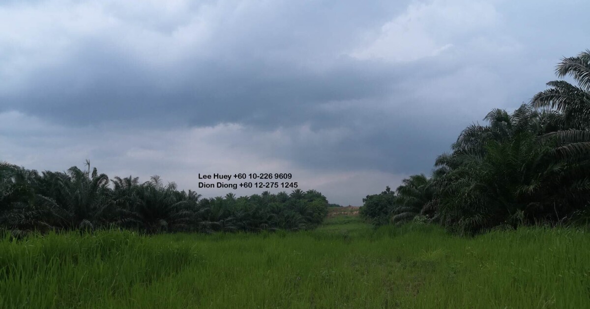 Klang Banting Jalan Kampung Sri Cheeding | Industrial Malaysia