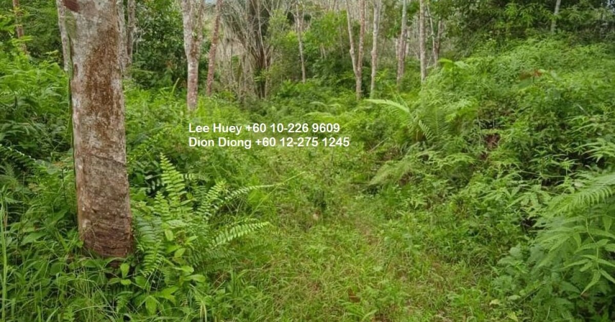 Klang Banting Jalan Sungai Buaya Kampung Sungai Buaya | Industrial Malaysia