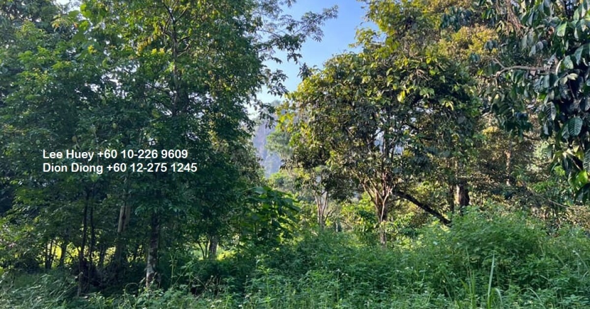 Klang Banting Jalan Sungai Buaya Kampung Sungai Buaya | Industrial Malaysia