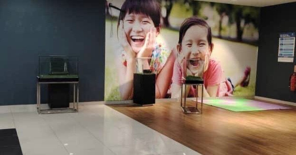 Batu Caves Taman Industri Bolton Batu Caves Taman Industri Bolton ...